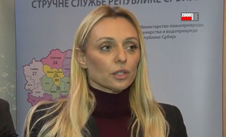 Jelena Tanasković u tužilaštvu krivicu prebacila na Vesića: Otkrila detalje sastanka sa ...