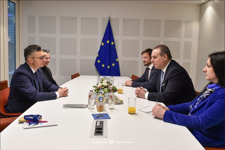 Ivanović sa poslanicima Evropskog parlamenta; Izvjestilac Šarec pozvao na smirivanje tenzija u ...