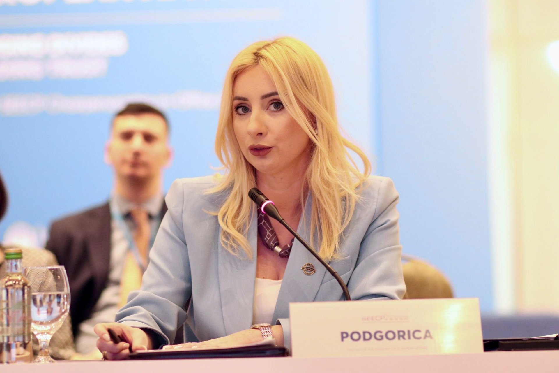 Gorčević: Vlada će pratiti ono što je parlament već izglasao u vezi sa ...